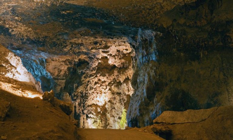How to Explore Camuy Caves Puerto Rico - Mindfulpathfinder