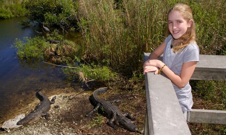 10 Fun Things to Do in Miami for Teens - Mindfulpathfinder