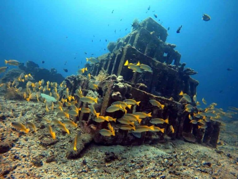 7 Best Diving Spots in Bali - Mindfulpathfinder